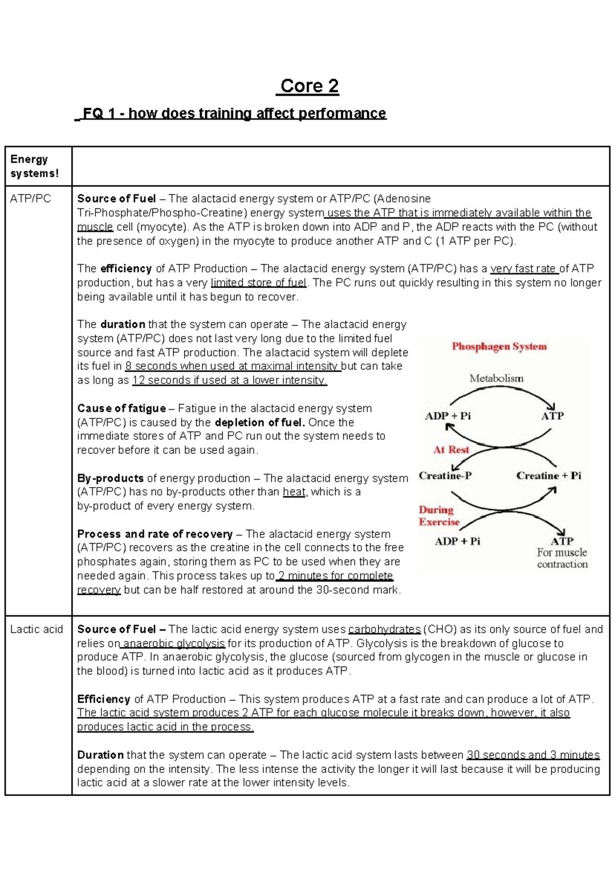 Core 2 - these are my notes. - Core 2 FQ 1 - how does training affect ...