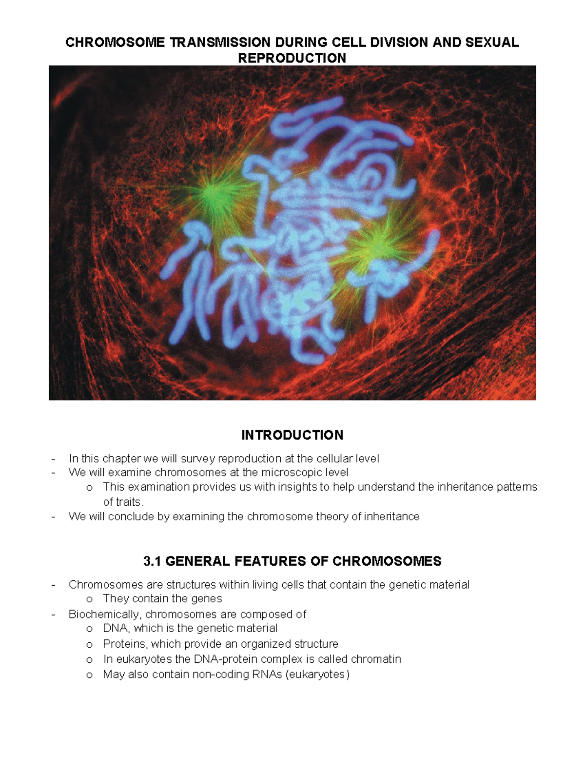 BB2709 W-3 Chromosome transmission - CHROMOSOME TRANSMISSION DURING ...