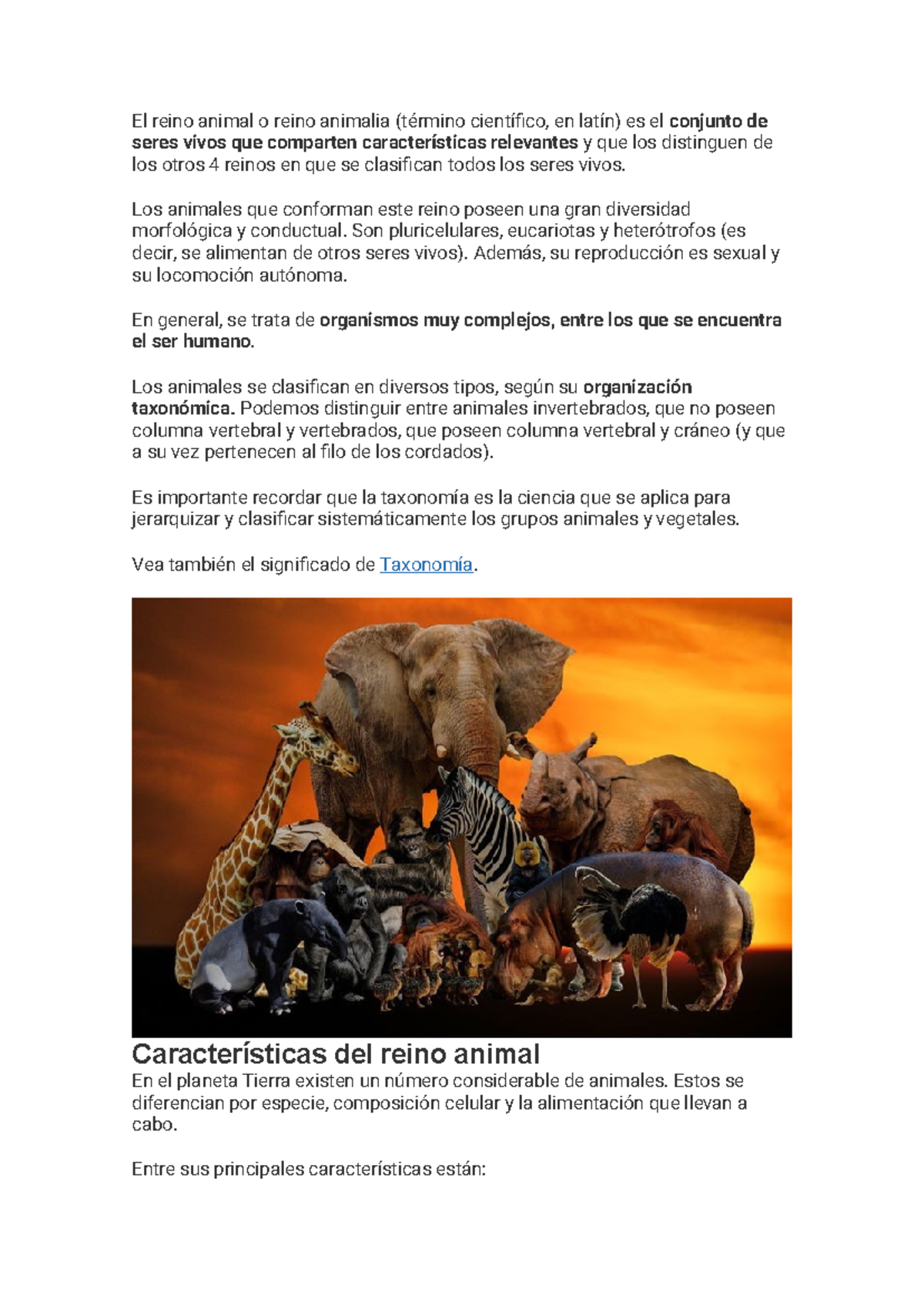 El reino animal o reino animalia - Los animales que conforman este ...