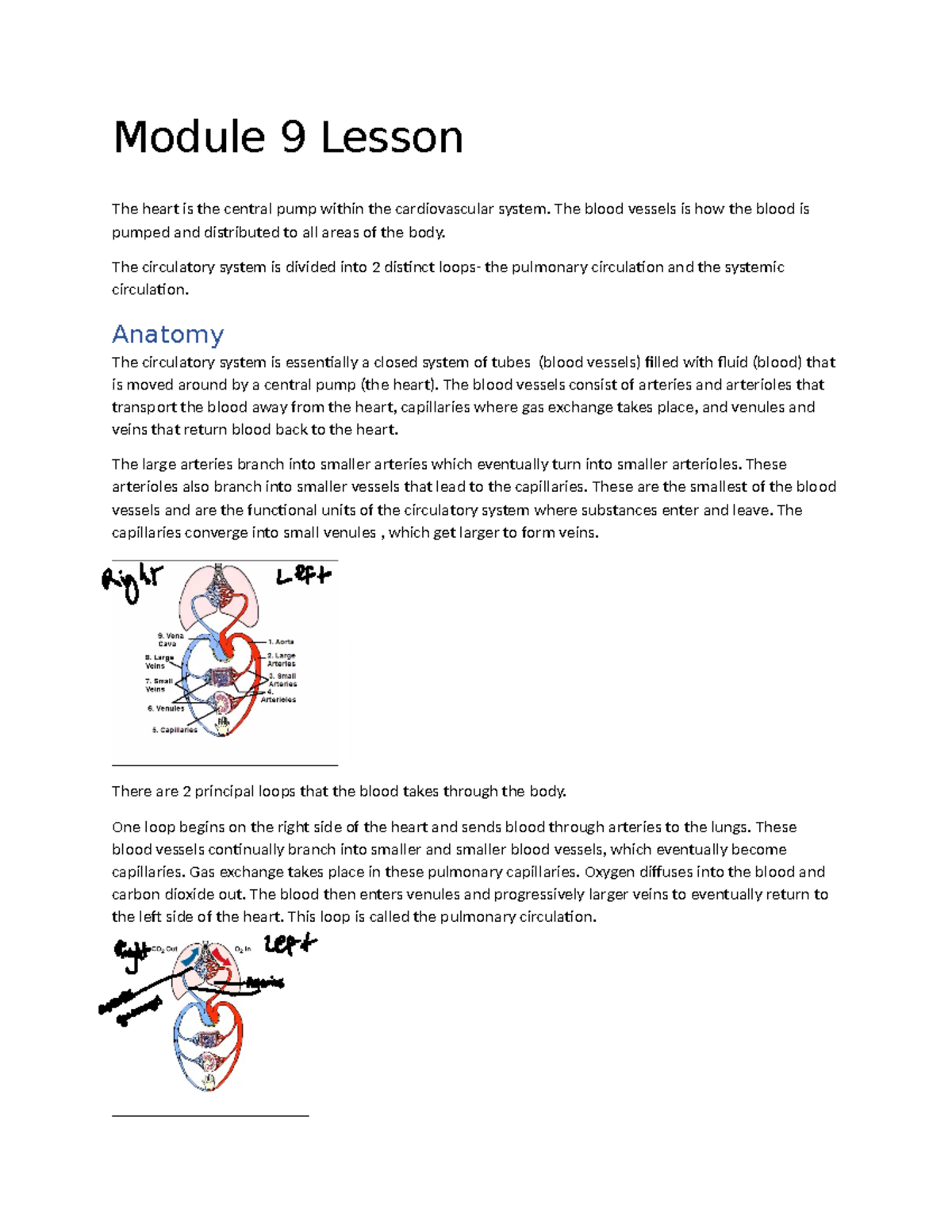 Module 9 Lesson - Module 9 Lesson The heart is the central pump within ...