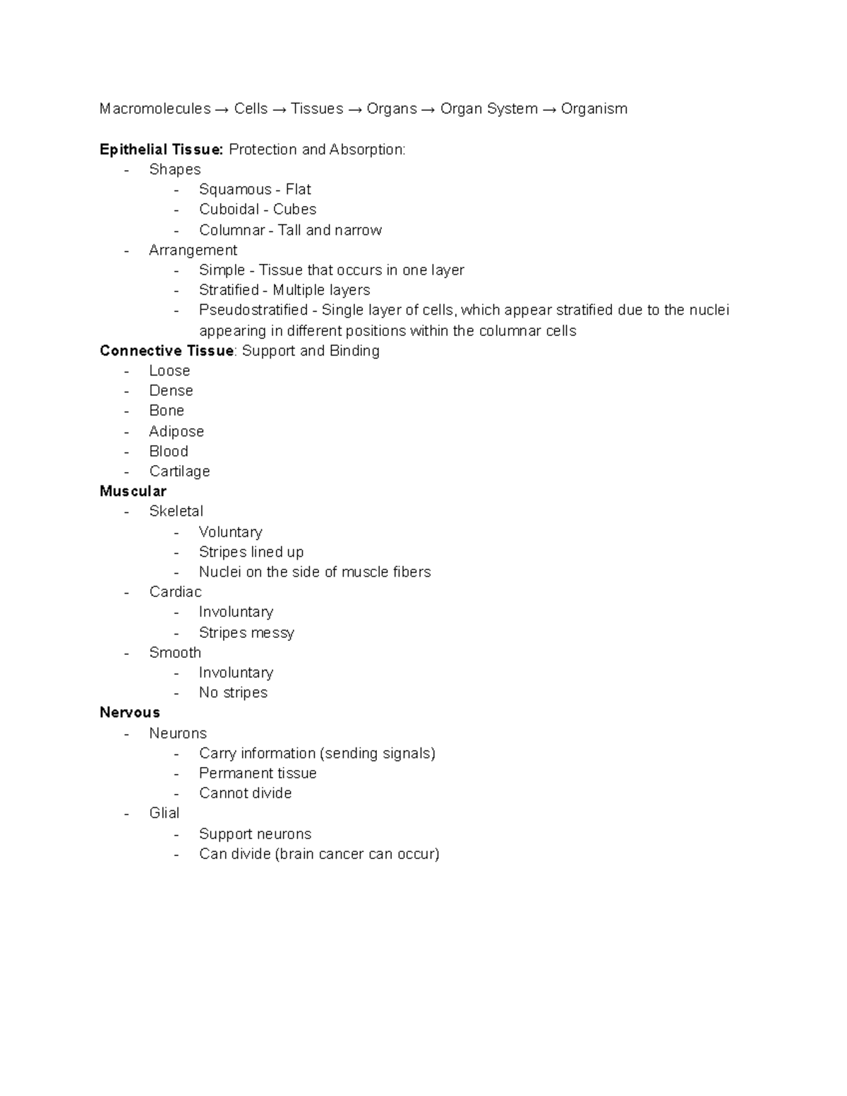Biology II Lab - Macromolecules → Cells → Tissues → Organs → Organ ...