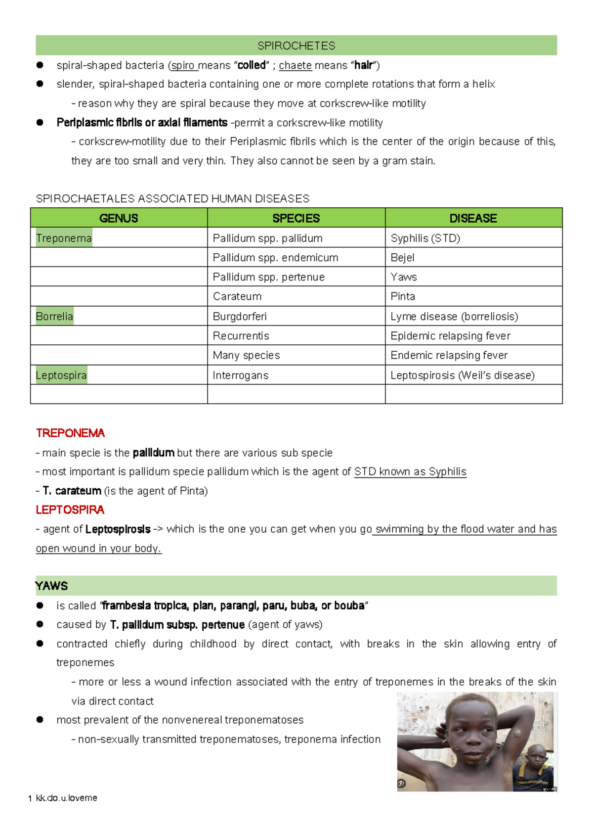 Spirochetes - SPIROCHETES spiral-shaped bacteria (spiro means “coiled ...