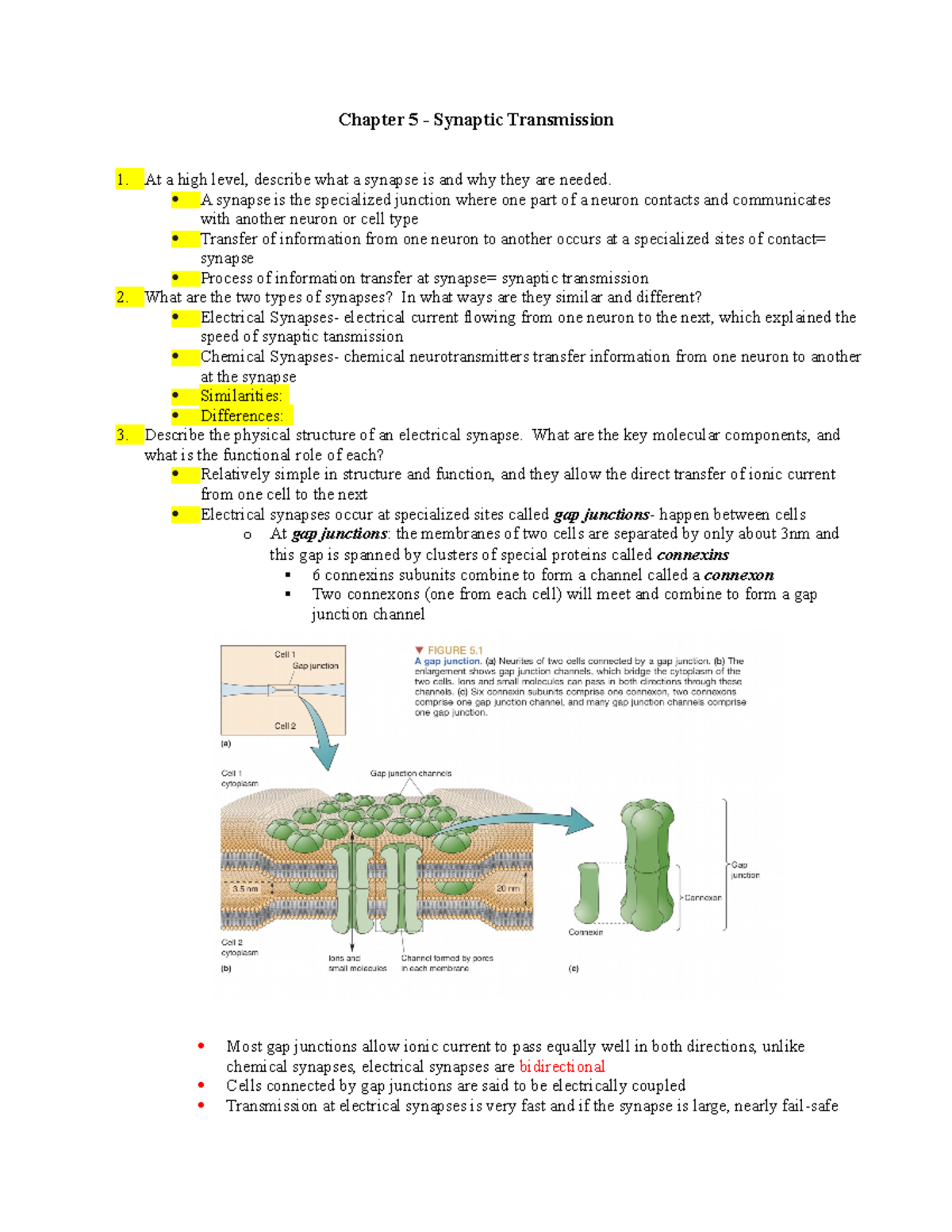 Ch05 Synaptic Transmission Study Guide - Chapter 5 - Synaptic ...