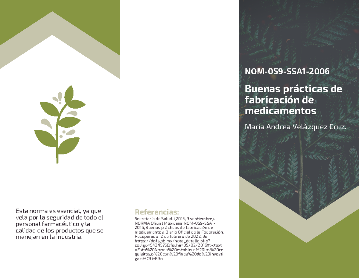 Triptico Norma Oficial Mexicana NOM059 - NOM-059-SSA1- Buenas prácticas ...