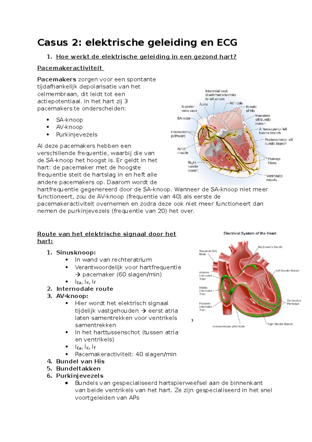 Casus 2 elektrische geleiding en ECG - In het hart zij 3 pacemakers te ...