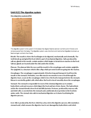 BTEC applied science unit 8 - Unit 8 (C) The digestive system The ...