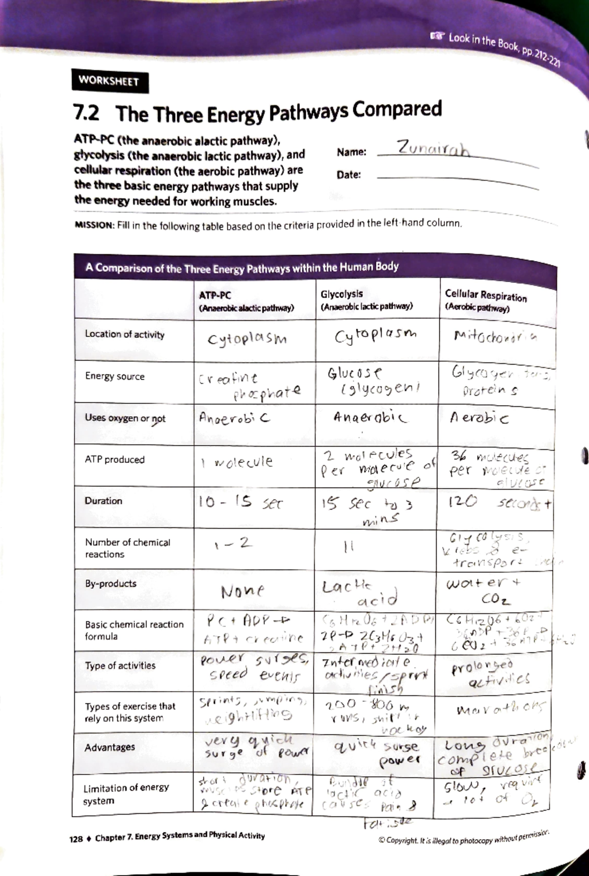 Pg 128,129 - WORKSHEET 7 The Three Energy Pathways Compared ATP-PC (the ...