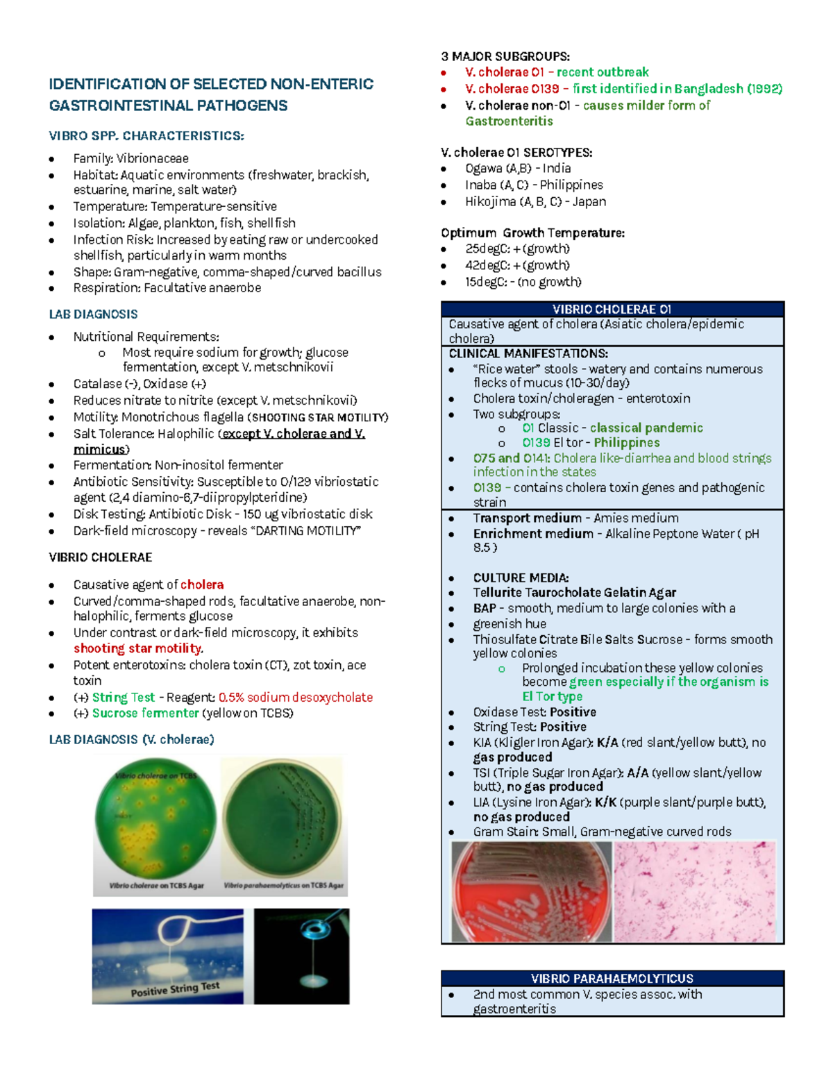 Vibrio - IDENTIFICATION OF SELECTED NON-ENTERIC GASTROINTESTINAL ...