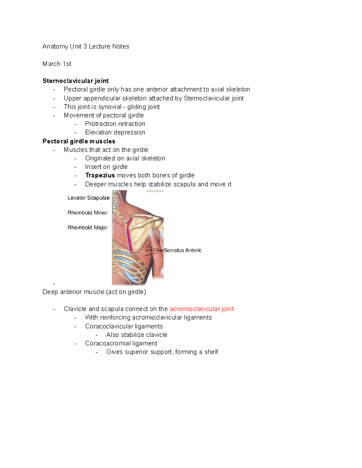 Anatomy Unit 3 Lecture Notes - Anatomy Unit 3 Lecture Notes March 1st ...