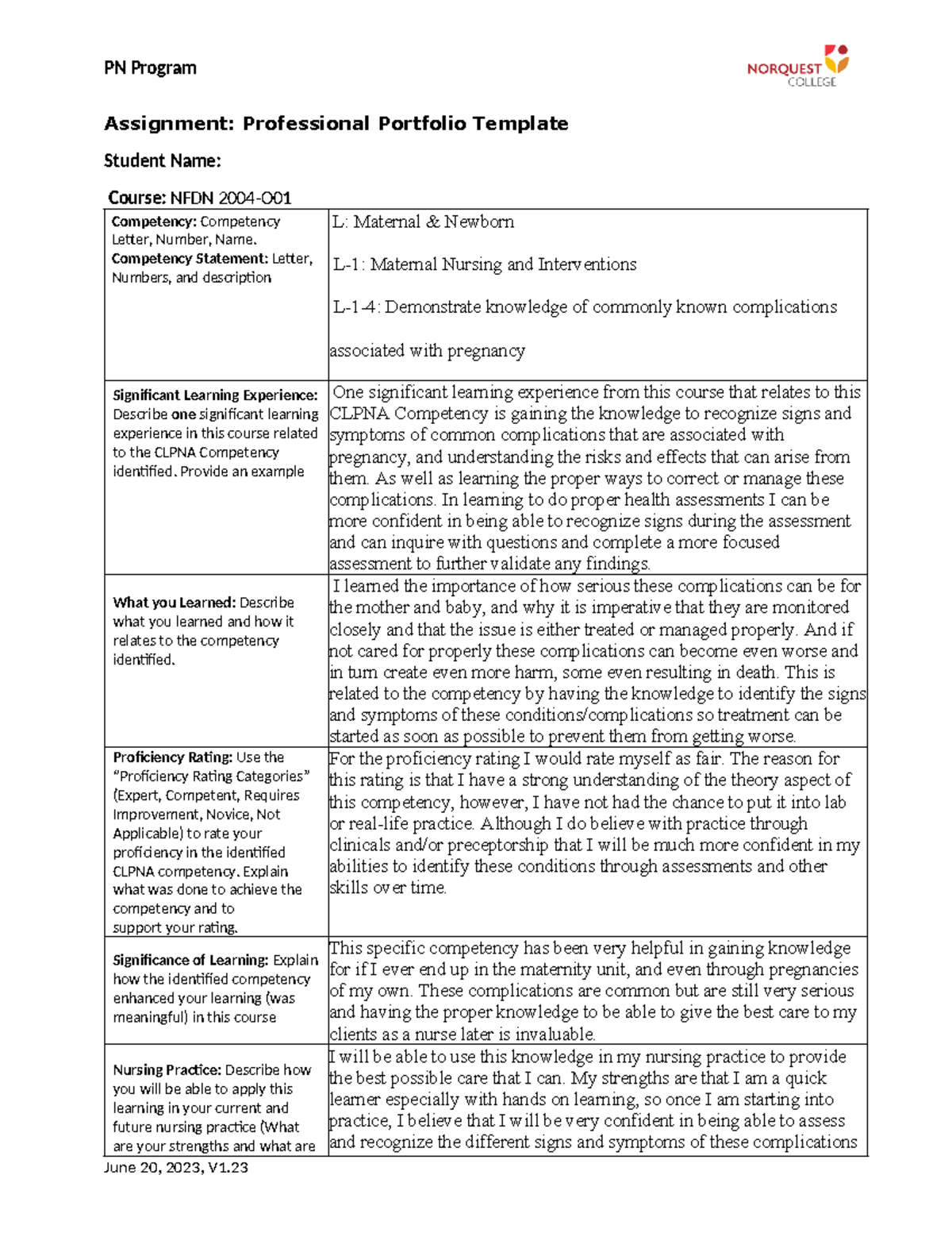 Professional Portfolio 2004 Lyster - PN Program Assignment: Professional Portfolio Template ...