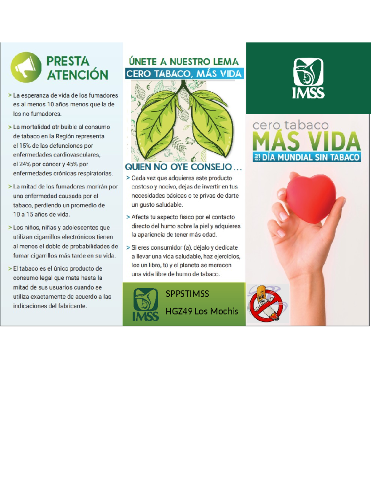Triptico dia mundial sin fumar - Introducción a la clinica - SPPSTIMSS ...