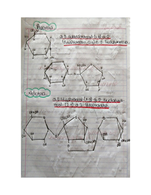 Aminoacidos - definiciones y clasificacion - Bioquimica - Studocu