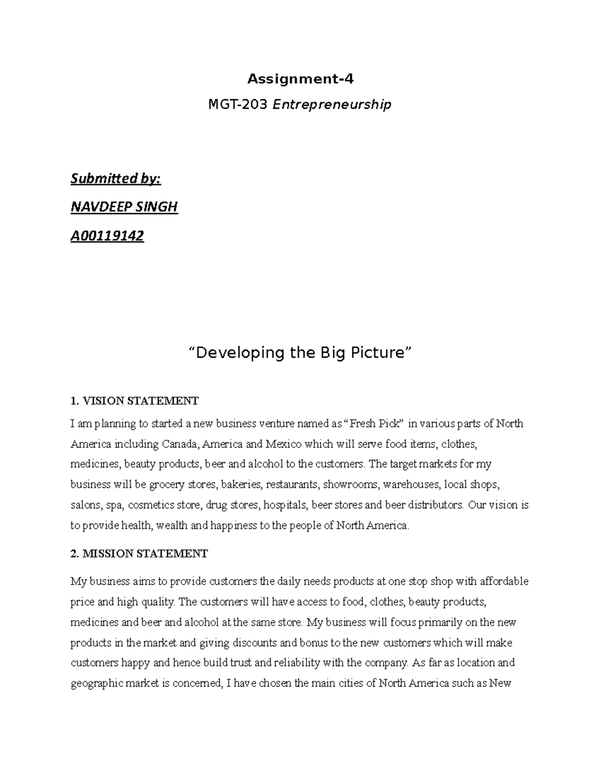 Developing a big picture - Assignment- MGT-203 Entrepreneurship ...