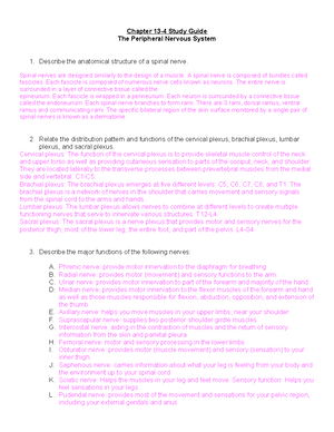 Articulation Study Guide - Chapter 9 Study Guide Articulations Define ...