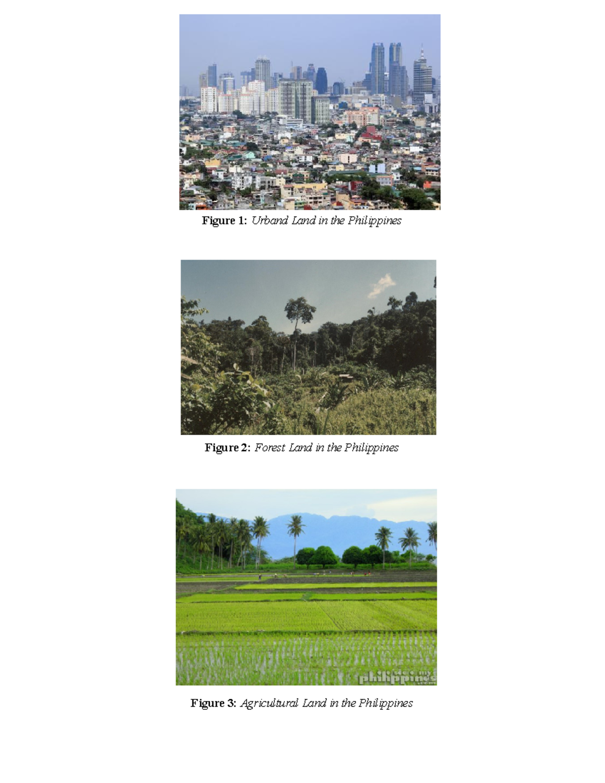Land issues in the Philippines - Figure 1: Urband Land in the ...