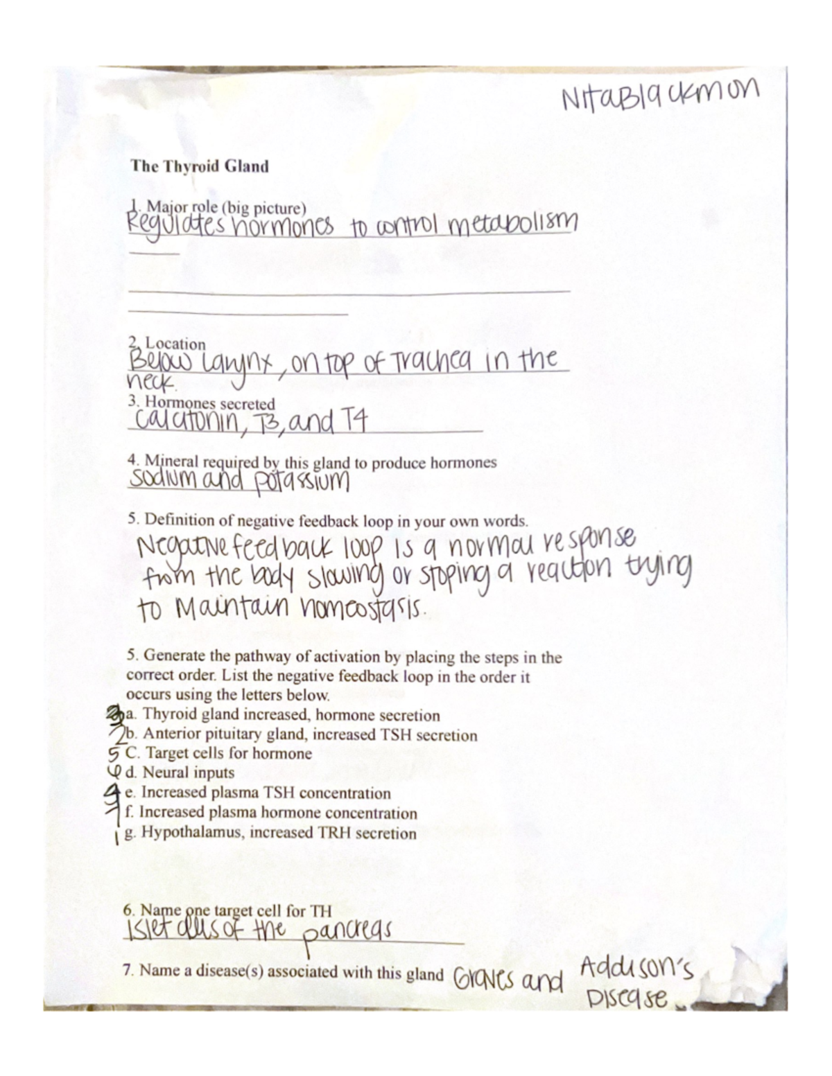 The Thyroid Gland - Practice worksheet / Endocrine System - NUR1229 ...