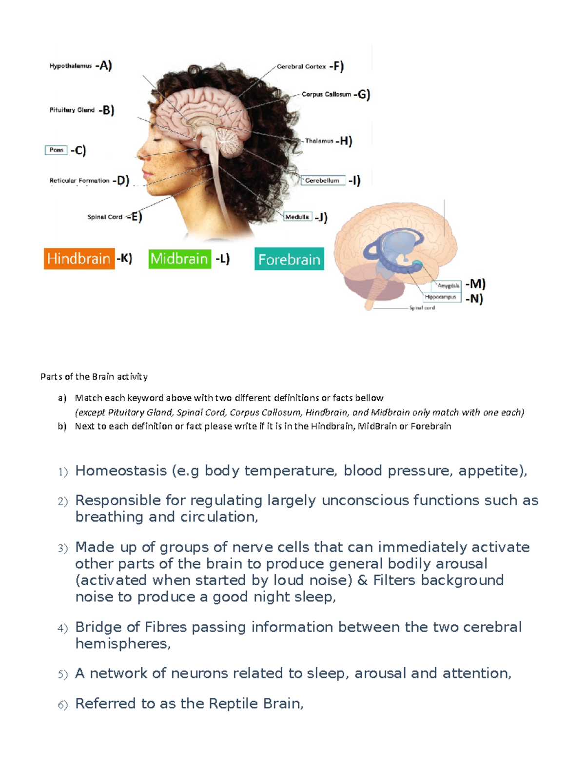 Psychology -CH,.2 -Parts of the Brain Activity - Parts of the Brain ...
