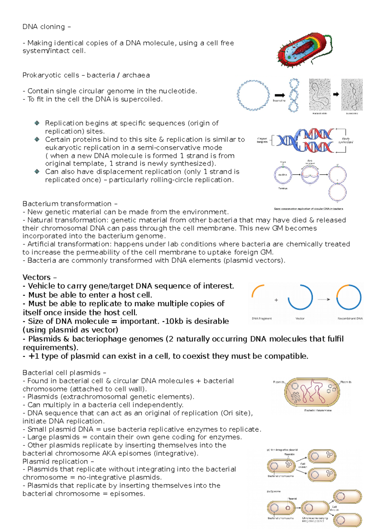 DNA cloning - Lecture notes 4 - DNA cloning – Making identical copies ...