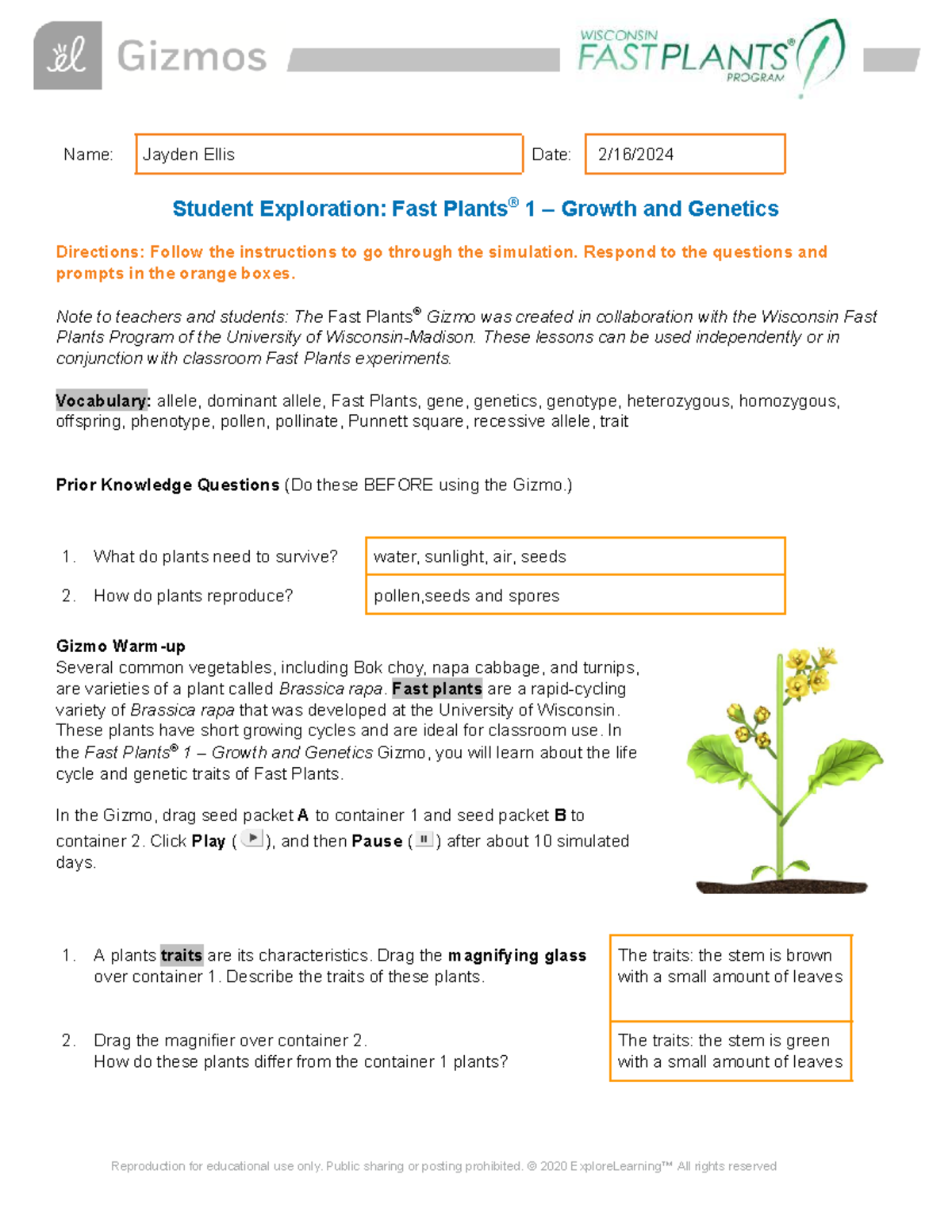 Copy of Fast Plants 1SE - Name: Jayden Ellis Date: 2/16/ Student ...
