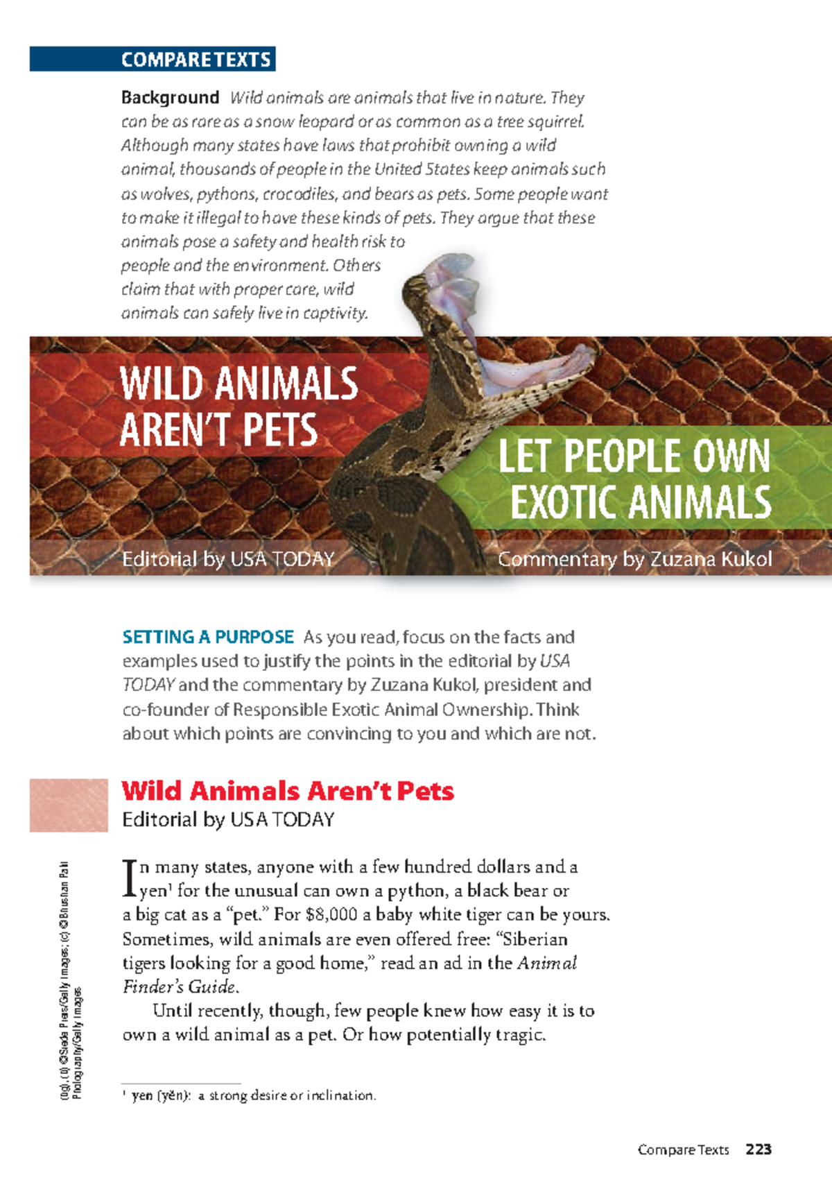 Pets-text-set - Really good - (bg), (b) ©Siede Preis/Getty Images; (c ...