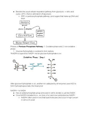 Lab 3 in Excel (5)-1 - jghjgh - Computer Exercise and Competency Assessment I. Computer Exercise ...
