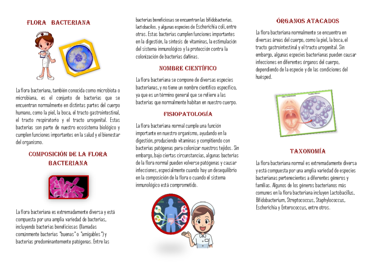Triptico La flora bacteriana - La flora bacteriana, tambiÈn conocida ...