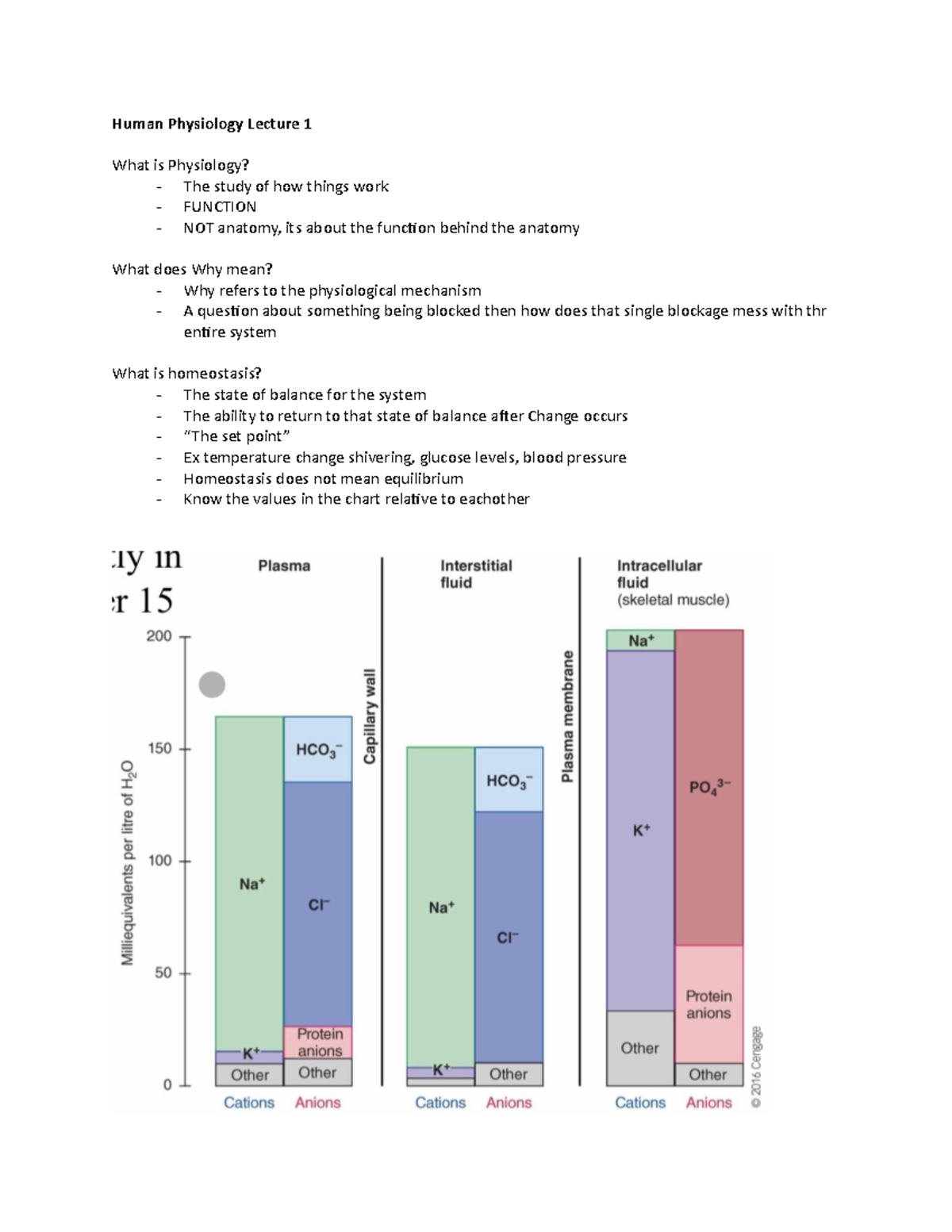 Human Phys - notes for midterm 1 - Human Physiology Lecture 1 What is ...