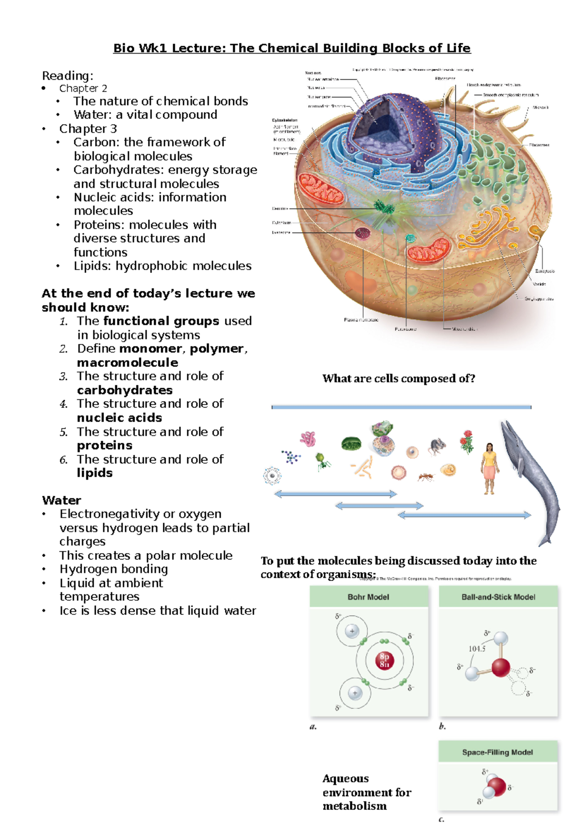 Bio Wk1 Lecture - The functional groups used in biological systems 2 ...