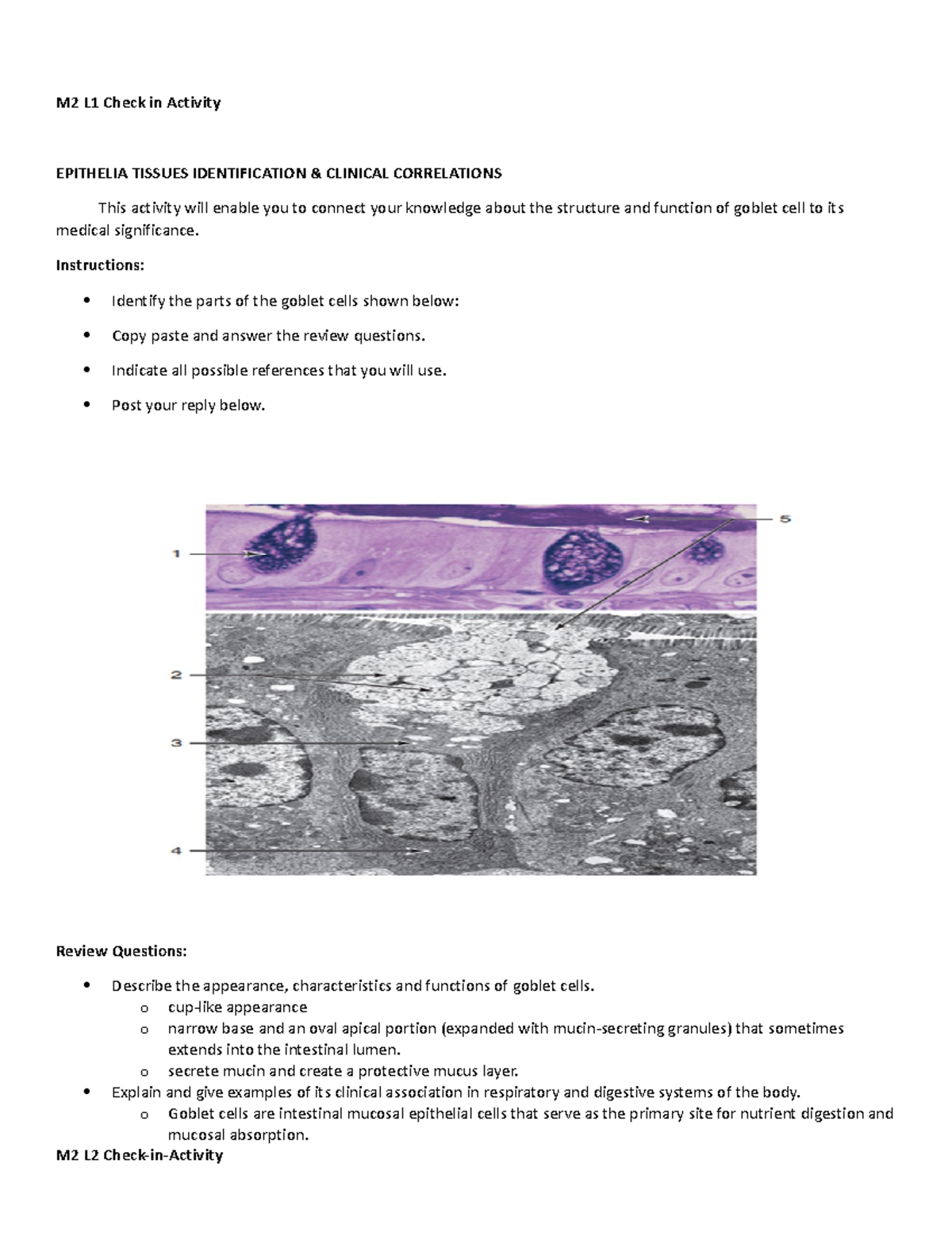GHE - Pre Task - M2 L1 Check in Activity EPITHELIA TISSUES ...