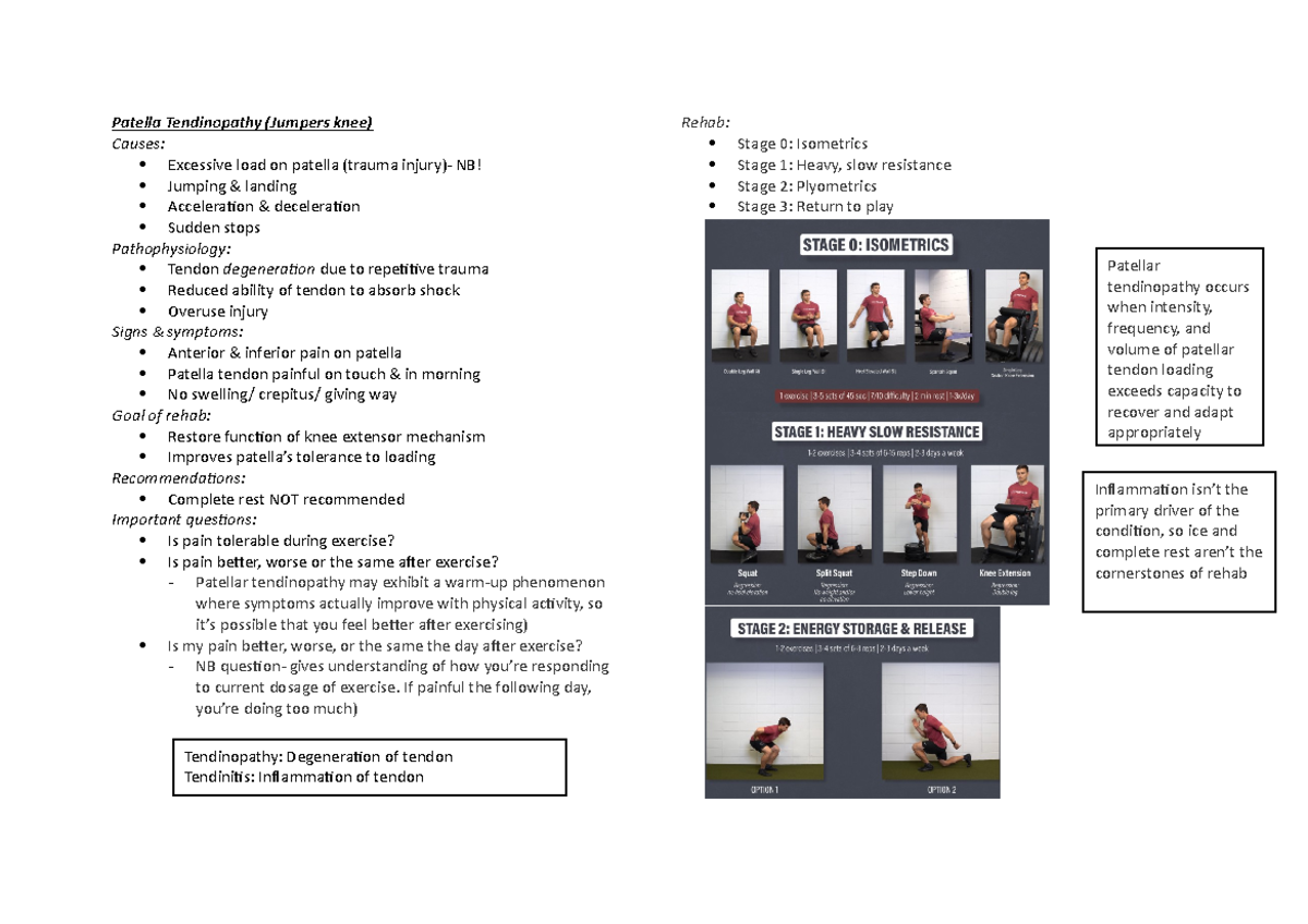 Patella Tendinopathy - Knee injuries - Patella Tendinopathy (Jumpers ...