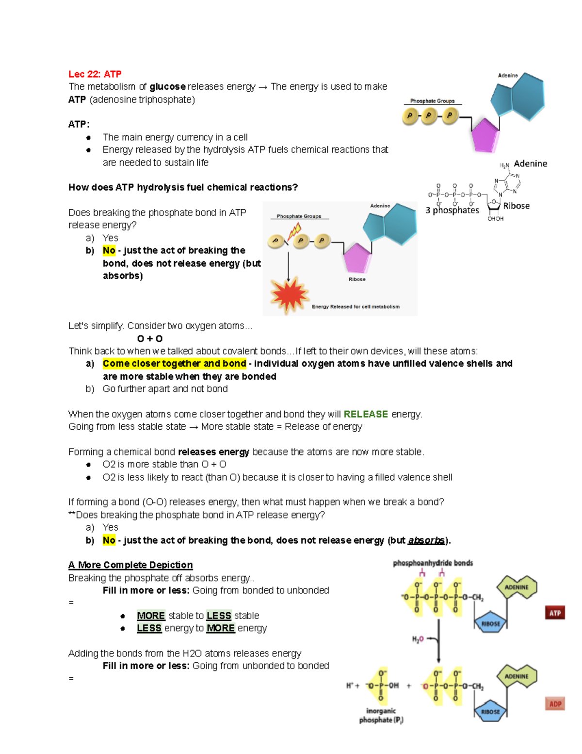 Lec 22 ATP - Production of ATP - Lec 22: ATP The metabolism of glucose ...