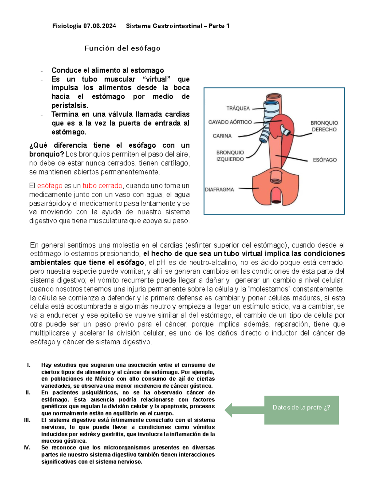Fisiologia 1 parte 07 de junio - Función del esófago - Conduce el ...