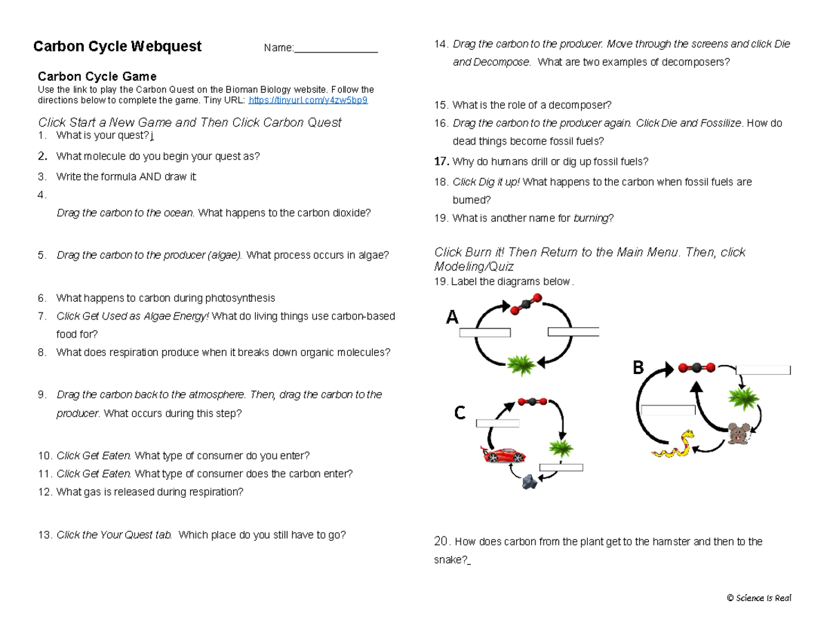 Handout - Carbon Cycle Webquest just game half page - Carbon Cycle ...
