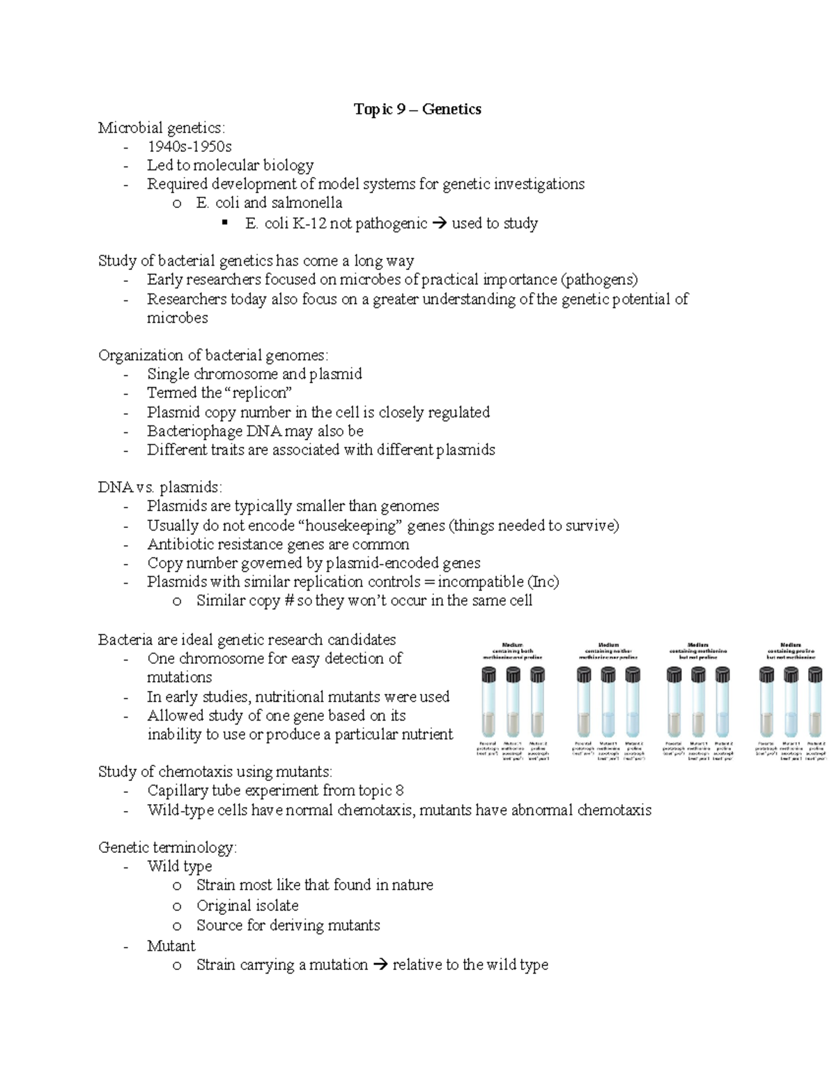 Topic 9 - Genetics - Unit notes - Topic 9 – Genetics Microbial genetics ...