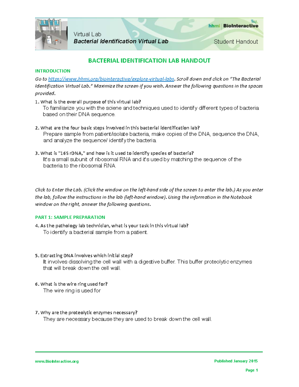 Bacterial Identification Lab Worksheet Student - BioInteractive ...