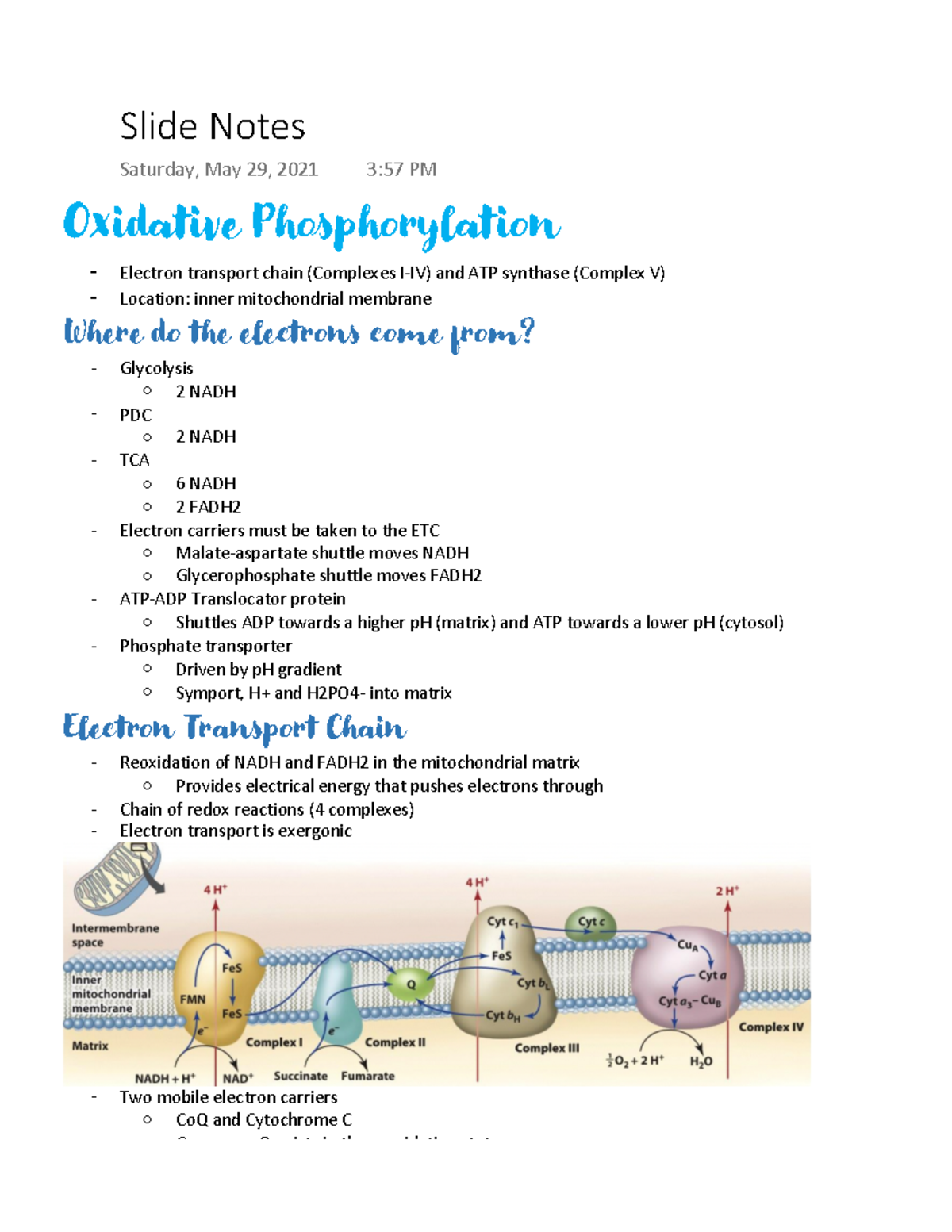 Biochem Oxidative Phosphorylation - Lecture notes Week 9 Lecture 3 ...