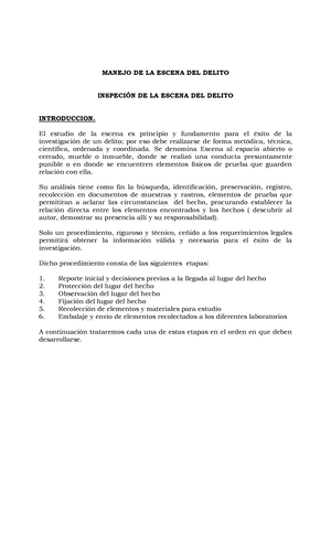 Acetanmax - que es acetamax - Diseñado para mejorar la combustión y ...