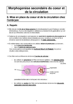 7. Embryo région caudale - Embryologie de la région caudale de l ...