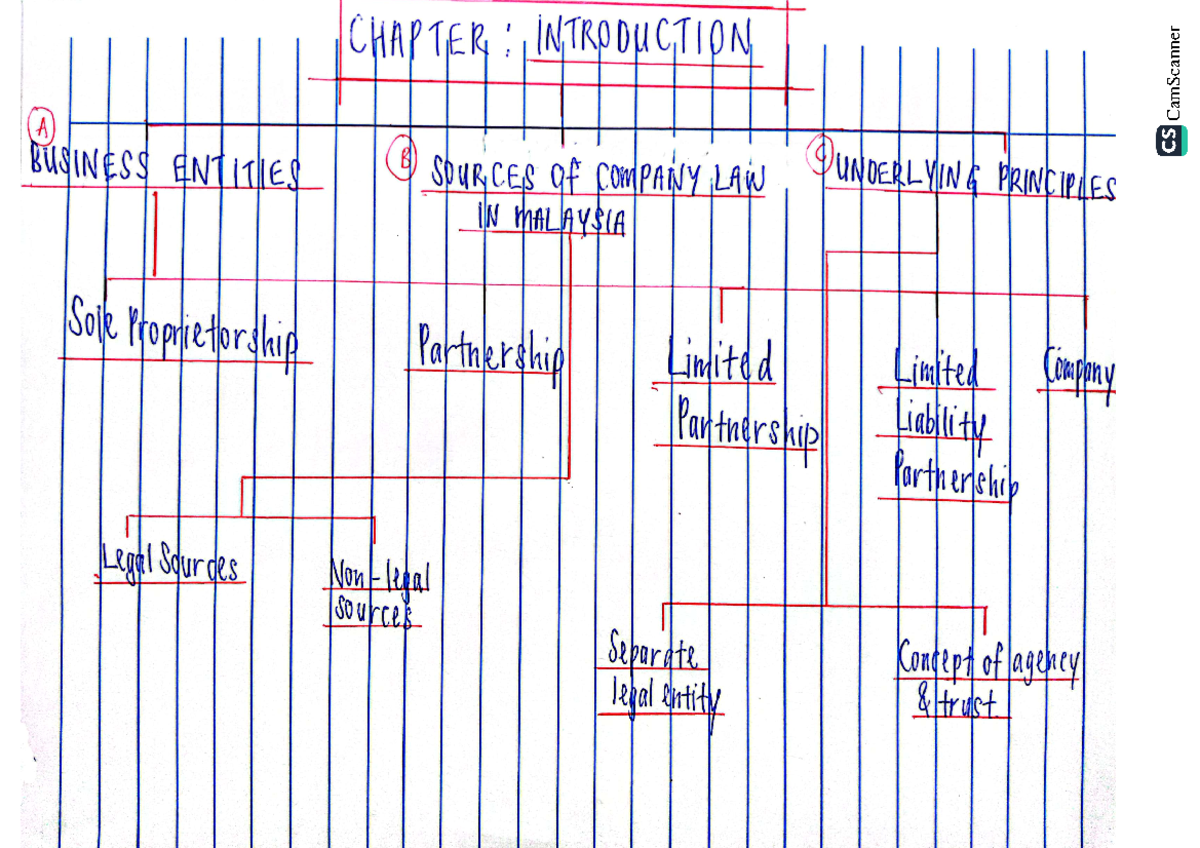 Introduction Chart No. 1 - Company Law I - CamScanner - Studocu