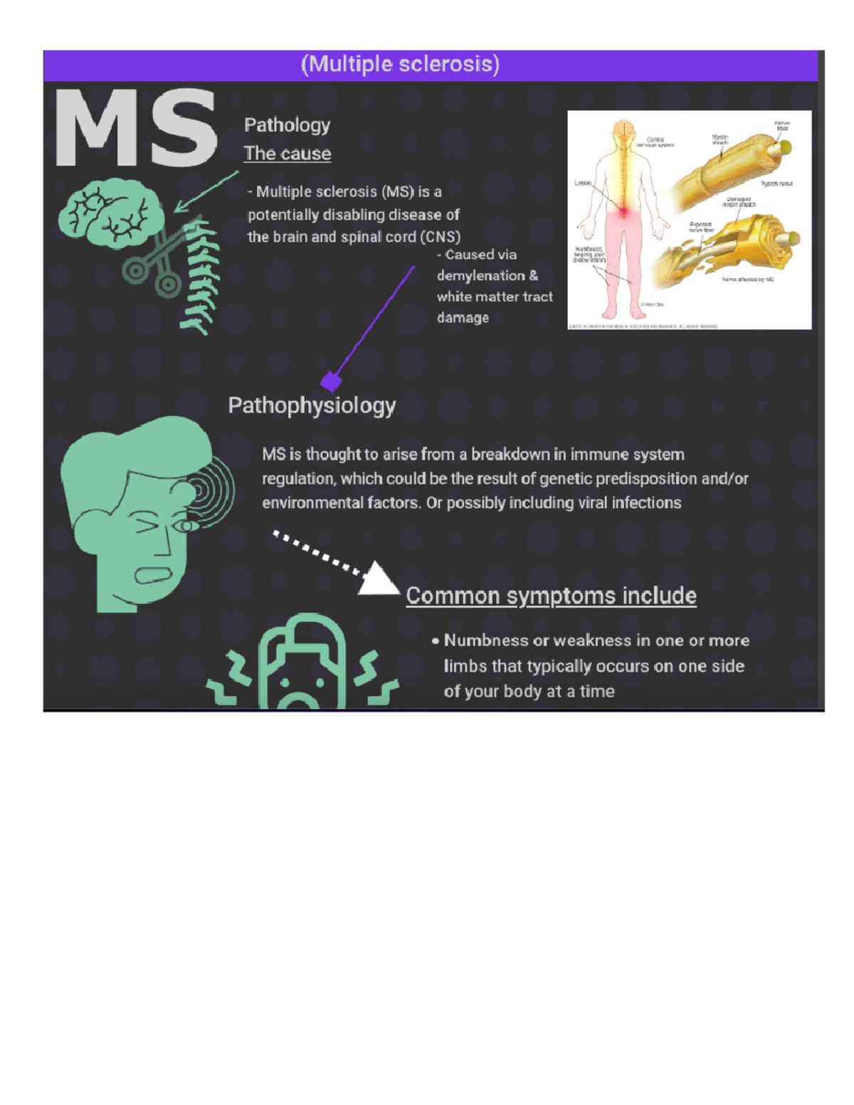 Infographic 3 pages complete - KINE 3004 - Studocu