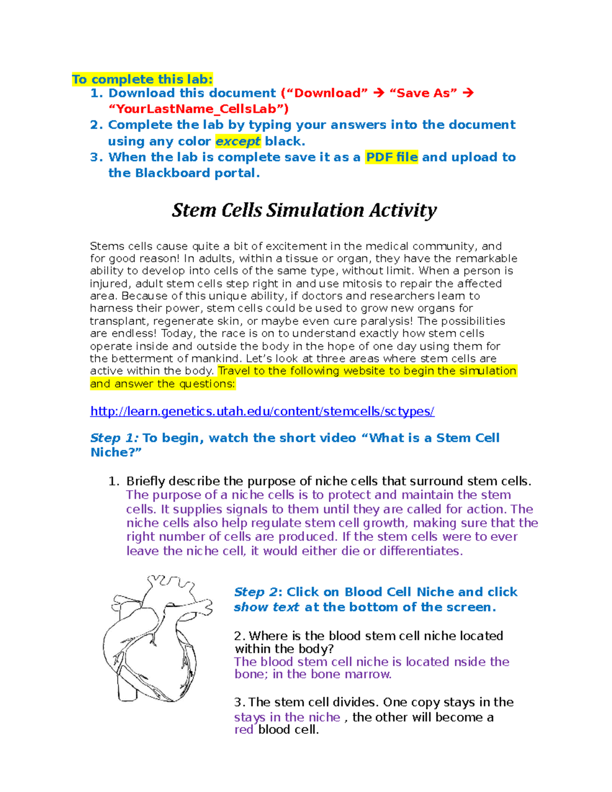 Cells Lab 2 - Anatomy - To complete this lab: 1. Download this document ...