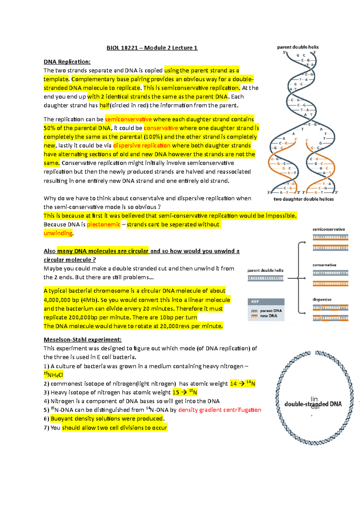 BIOL 10221 - Module 2 Lecture 1 - lin ear , BIOL 10221 – Module 2 Lecture 1 DNA Replication: The ...