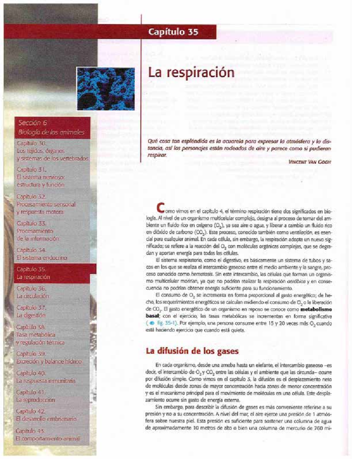 Biologia Animal la respiracion - Biología y Geología - Studocu
