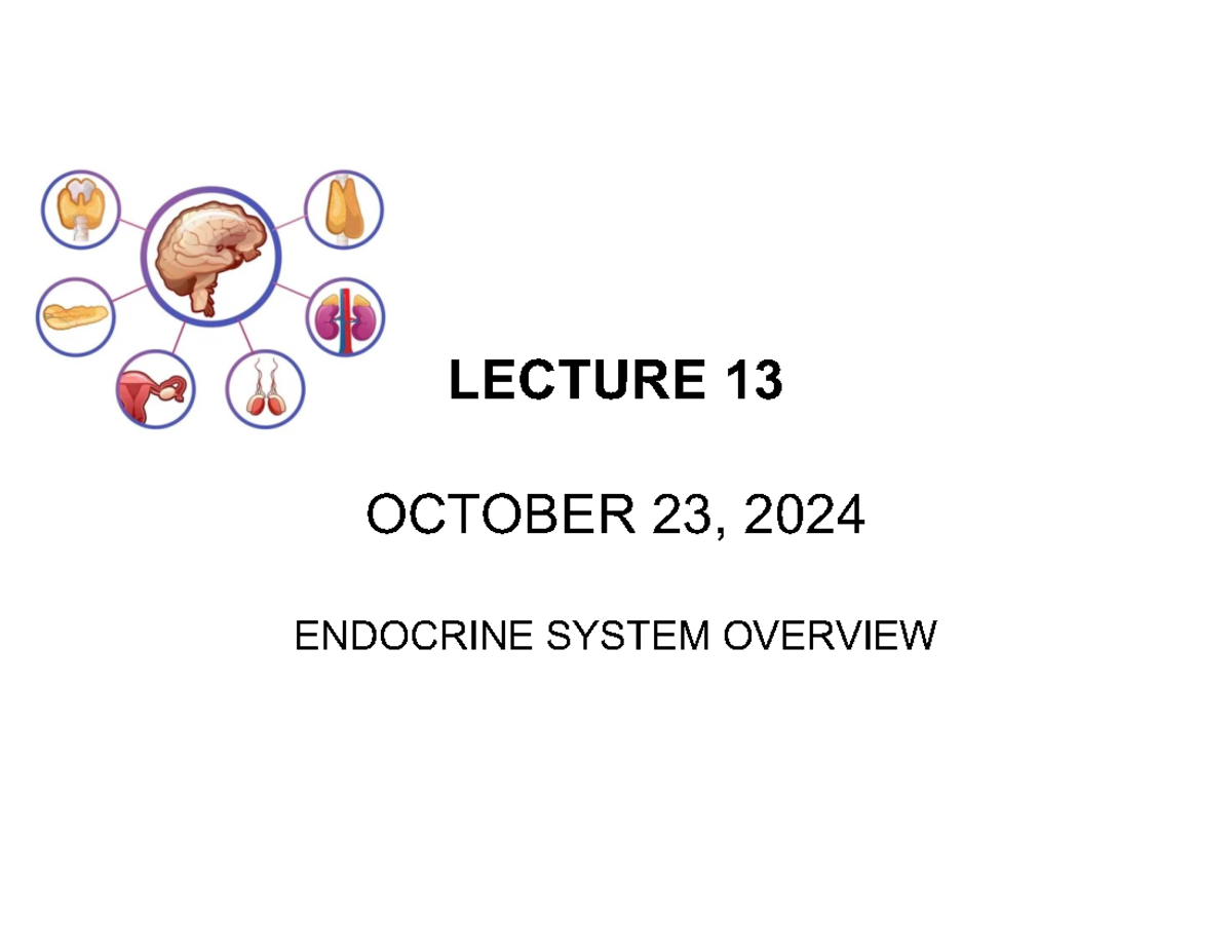 Lecture 13 - Endocrine System Overview Slides - LECTURE 13 OCTOBER 23 ...