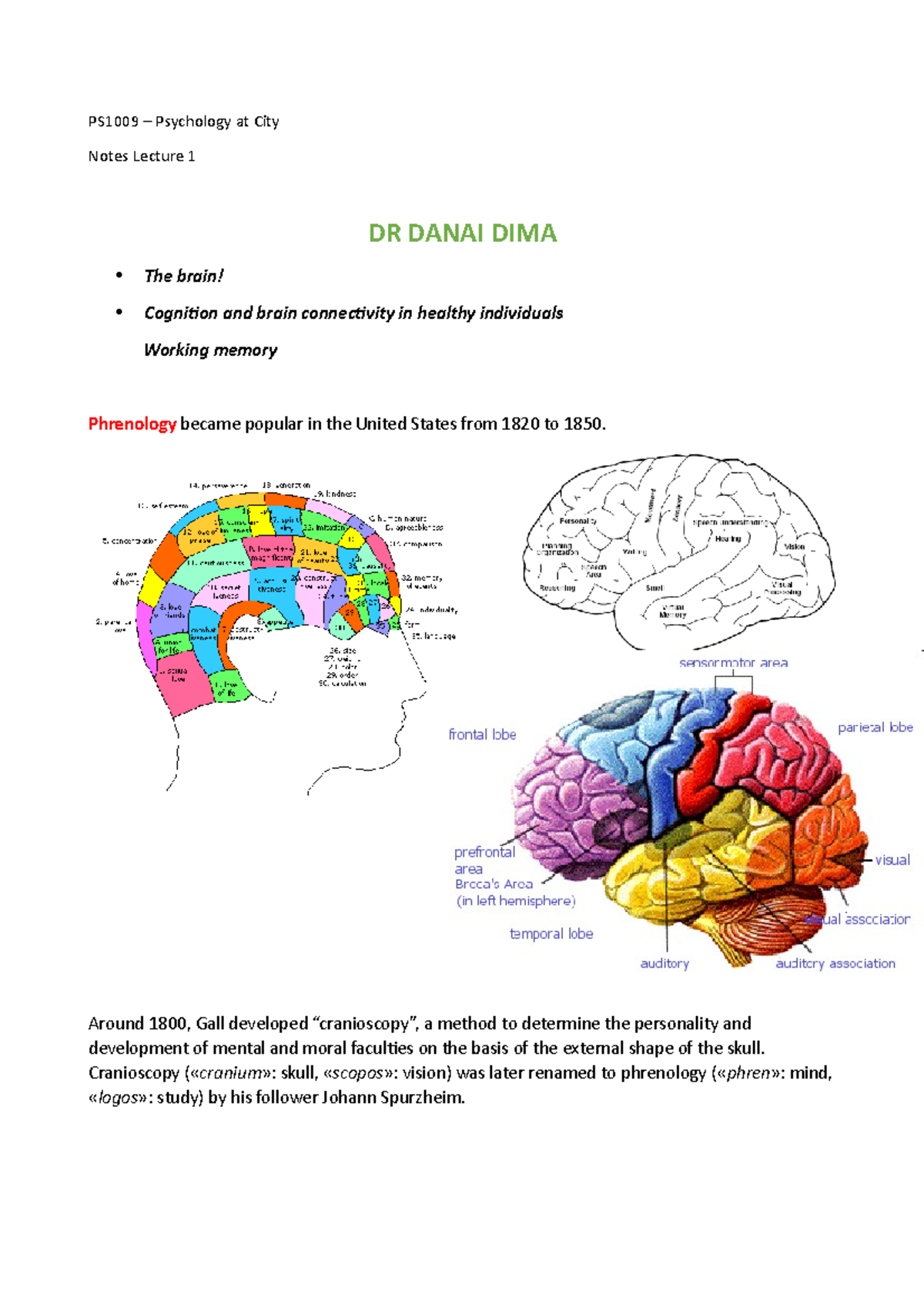 Brain and Working Memory - Lecture 1 - PS1009 – Psychology at City ...
