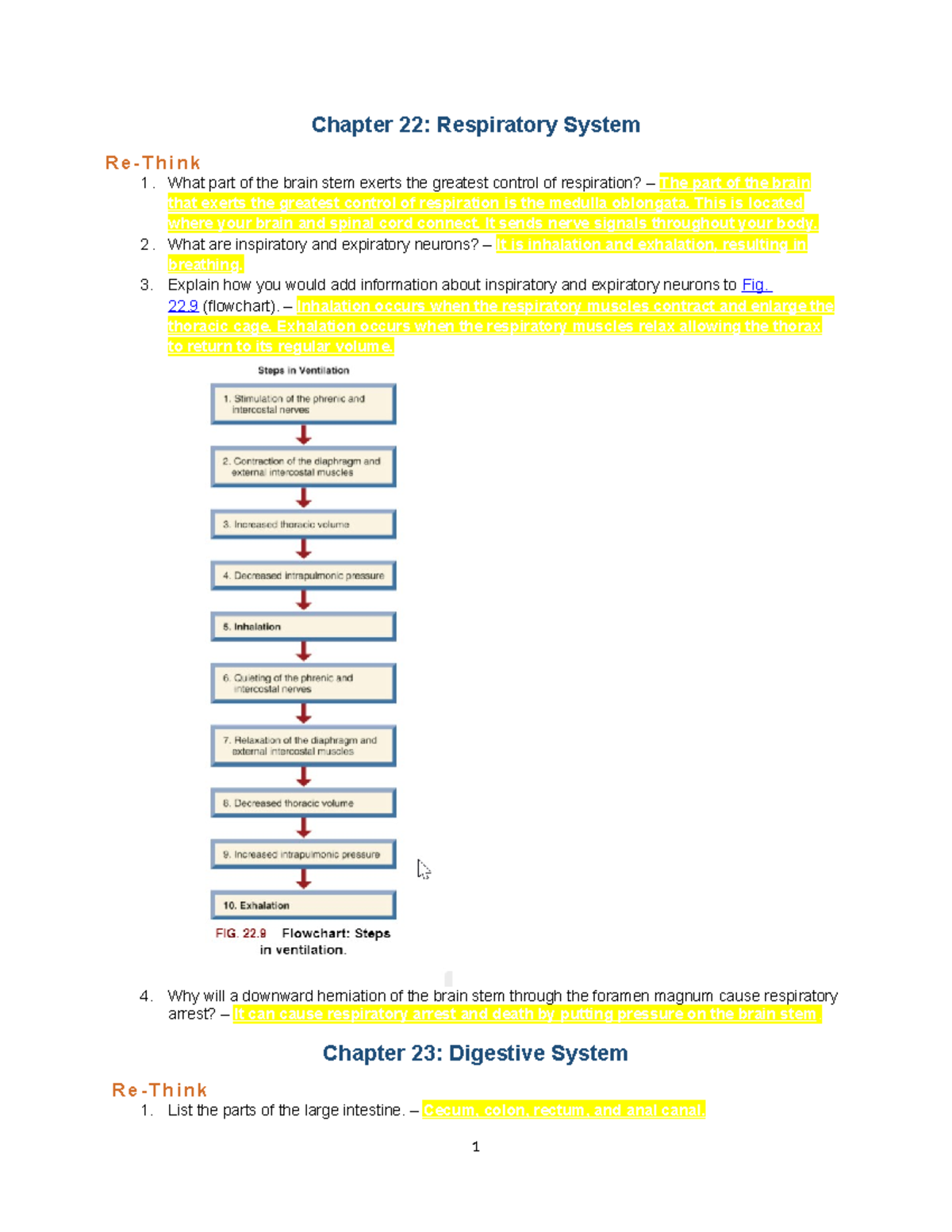 AHP106 Wk5 Assignment - Answer Key - Chapter 22: Respiratory System R e ...