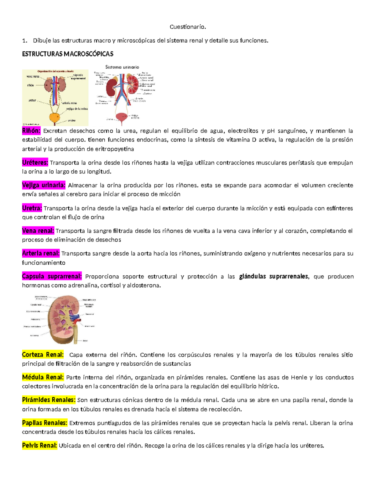 Cuestionario farmacologia epe 1 - Cuestionario. Dibuje las estructuras macro y microscópicas del ...