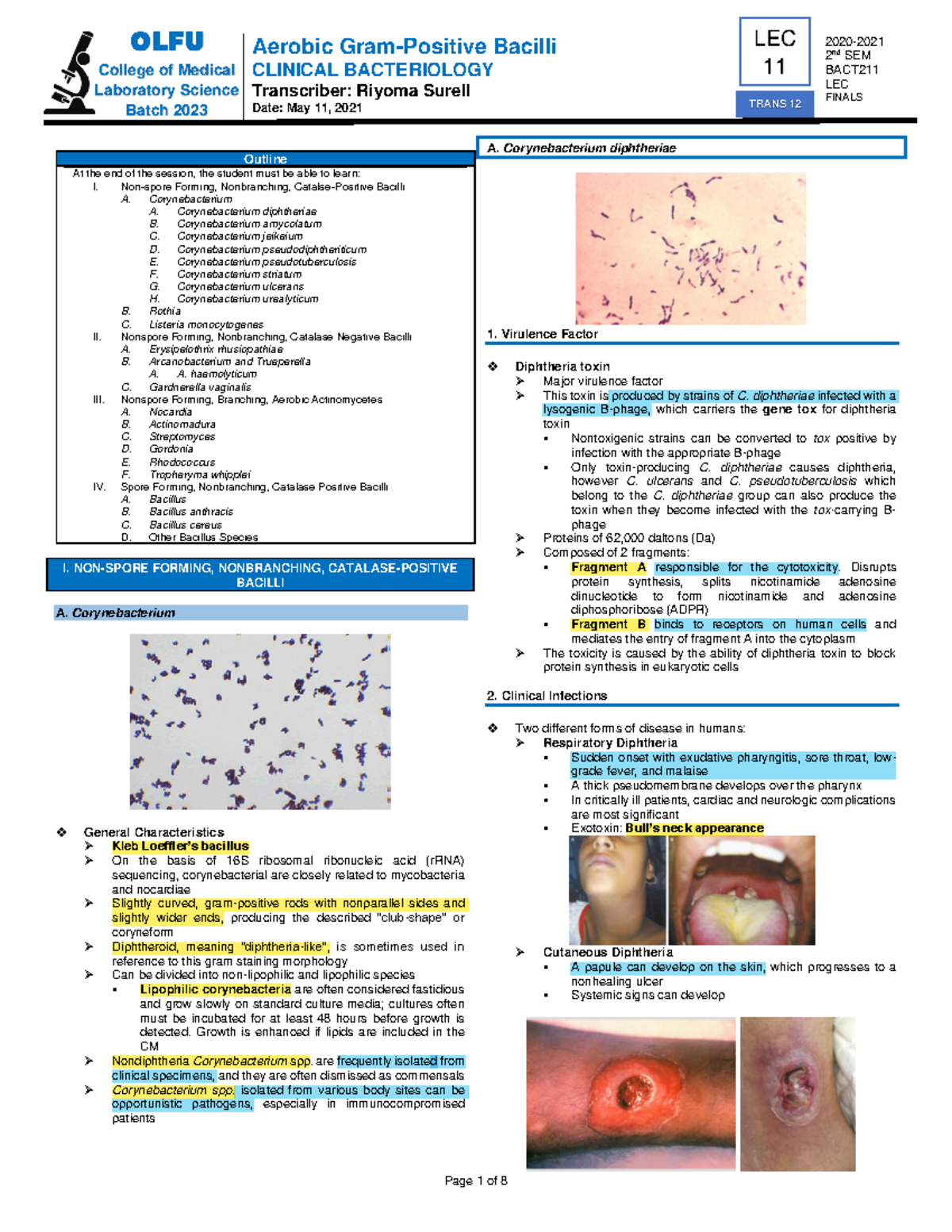 BACT LEC 12 Trans - none - Aerobic Gram-Positive Bacilli CLINICAL ...