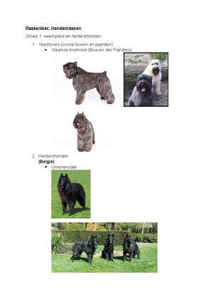 Rassenleer hoenderen - Hoenderachtigen De kip (het hoen) Doel : ei ...