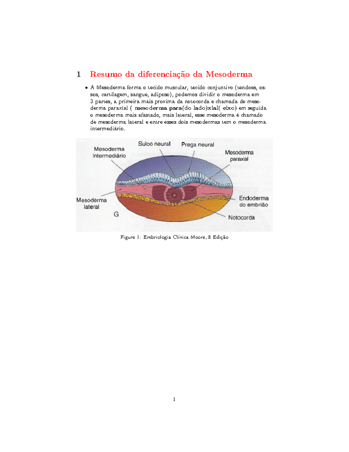 Resumo embriologia, parte da diferenciação da mesoderme - 1 Resumo da ...